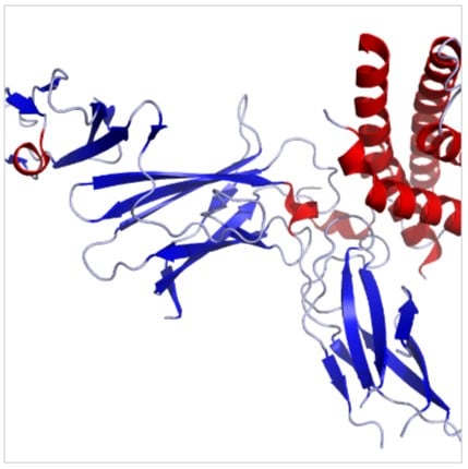 Technology - ICaPath